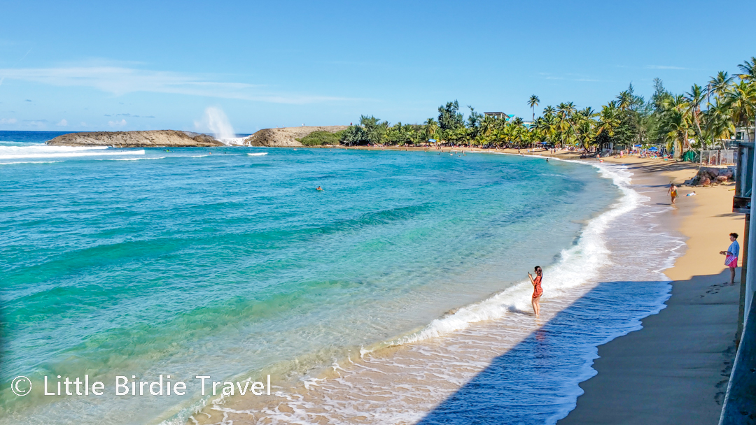 3 Unique Beaches In Puerto Rico For Snorkeling, Surfing Or Lounging ...